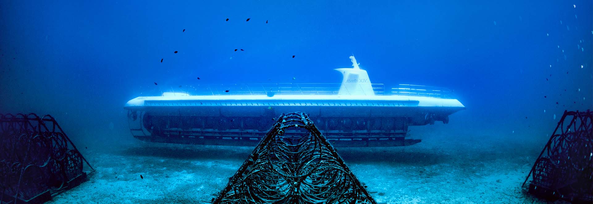 Atlantis Adventures | Submarine Tours in Hawaii